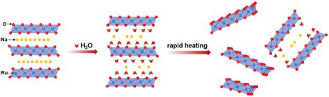 Schematic Illustration Of The Exfoliation Of Layered Ruo2 Intercalated Download Scientific