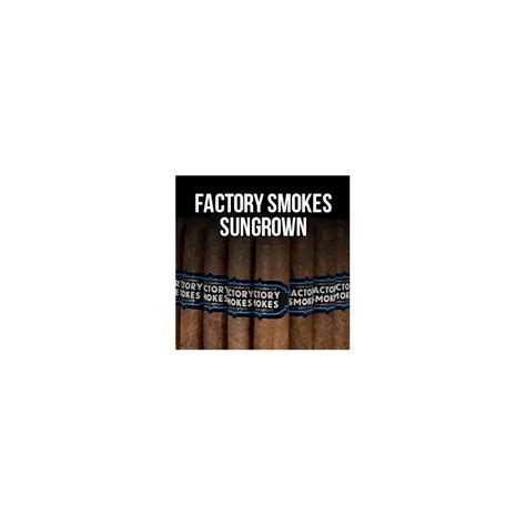 Trabucuri Drew Estate Factory Smokes Sun Grown Gordito 75