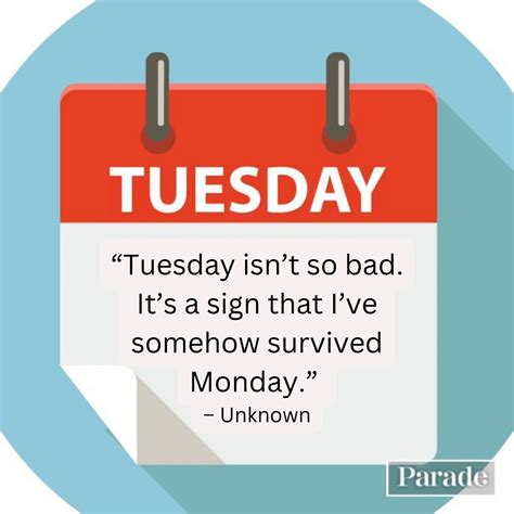 175 Happy Tuesday Quotes Parade