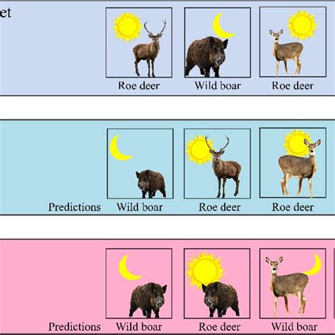 example of shortcut learning opportunity in a neural network that aims