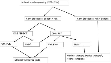 Viability Imaging And Management Approach Cmr Cardiac Magentic