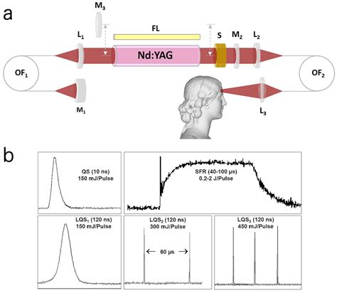 Multiple Temporal Regime Laser For Art Conservation