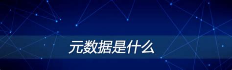 【实战讲解】元数据管理落地实施业务元数据 技术元数据 操作元数据 Csdn博客