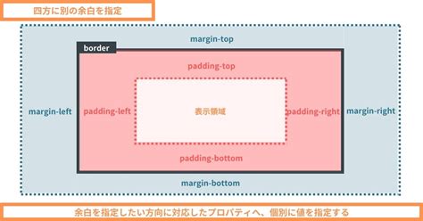 【css】marginとpaddingの違いを初心者向けに丁寧に解説 Zeroplus Media