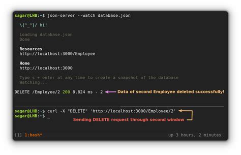 How To Send A Delete Request With Curl
