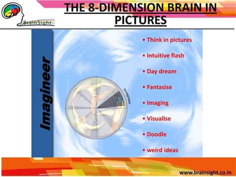 Brainsight Neethling Brain Instruments Pptx