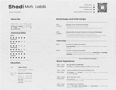 Shadi Labib On Linkedin Cv