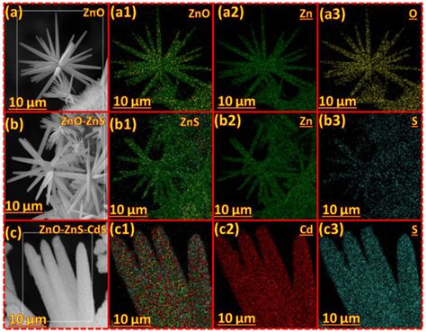 Eds Mapping Of A Zno B Zno Zns And C Zno Zns Cds Nanocomposite Download Scientific Diagram
