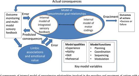 Figure 1 From A Sensorimotor Control Framework For Understanding