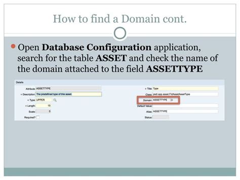 domains in ibm maximo asset management