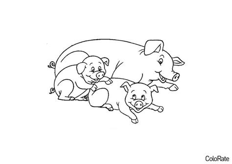 Раскраски Свинья свинка поросенок распечатать на А4