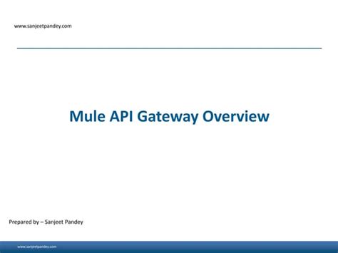 Mule Api Gateway Overview Pptx