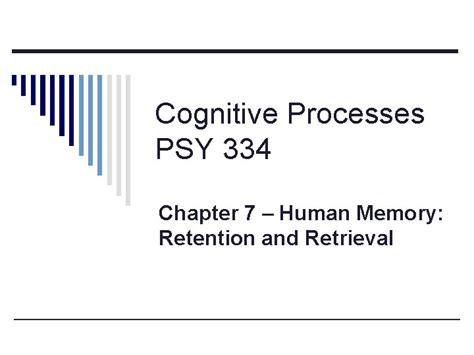 Cognitive Processes Psy 334 Chapter 7 Human Memory