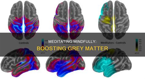 Meditating Mindfully Boosting Grey Matter Shunspirit