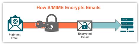 What Is S MIME What It Is Why You Need It