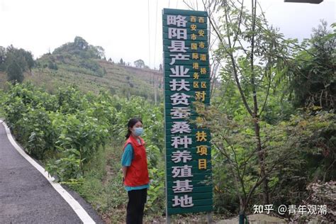 陕西理工大学三下乡：寻迹红色文化，筑梦乡村振兴 知乎