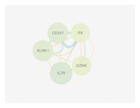 The Protein Protein Interaction Ppi Networks Based On The Screened Download Scientific