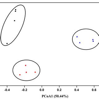 Principal Coordinate Analysis PCoA Of N Damo Bacterial Community Download Scientific Diagram