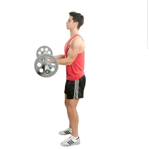 Biceps Barbell Curls By Saranyapong T Exercise How To Skimble