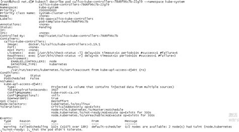 Sealos Networkreadyfalse Reasonnetworkpluginnotready Messagenetwork Plugin Returns Error Cni