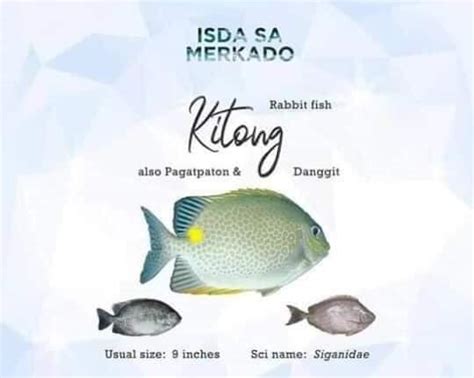 Ibat Ibang Klase Ng Isda At Iba Pang Laman Tubig Na Karaniwang Mabibili
