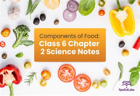 Components Of Food Class 6 Chapter 2 Science Notes Artofit