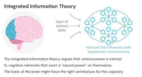 Integrated Information Theory A Neuroscientific Theory Of