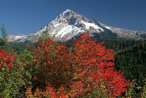 The Best Scenic Drives For Fall Colors In Oregon Portland Living On