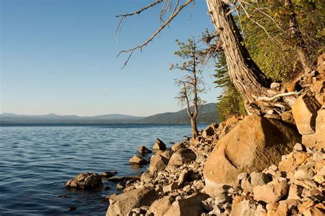 Everything You Need To Know About Lake Almanor Rv Camping