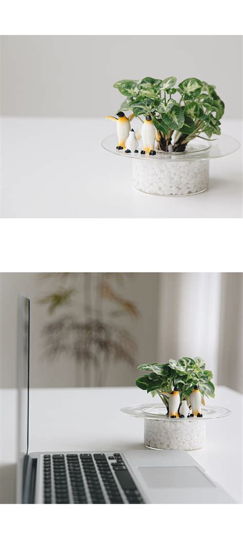 황제펭귄 가족세트 감도 깊은 취향 셀렉트샵 29cm