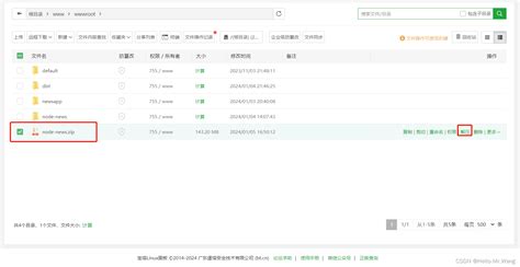 利用宝塔面板进行后端项目上线部署图文宝塔部署nodejs项目 Csdn博客 利用宝塔面板进行后端项目上线部署图文宝塔部署nodejs项目 Csdn博客