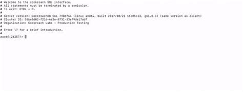 Cockroachdb 1 1 Released Production Made Easy