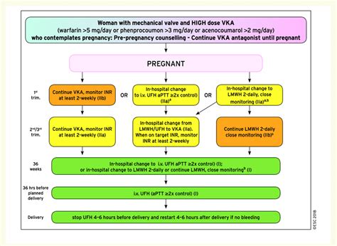 March 2024 Dr S Venkatesan Md