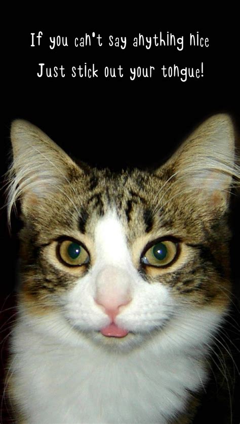 Funny Captions For Tongue Sticking Out Quotes Viral
