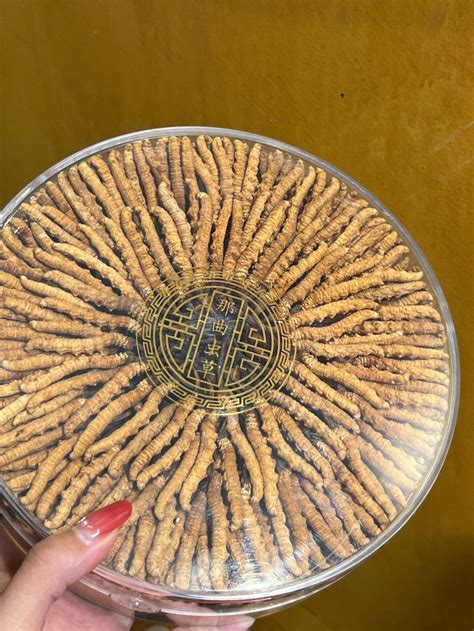仙丹虫草虫草 伤感说说吧
