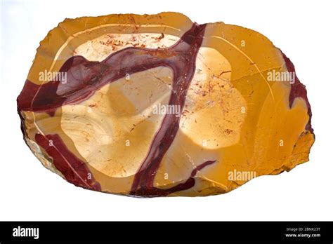 Silicified Radiolarite Also Known As Mookaite From Kennedy Ranges