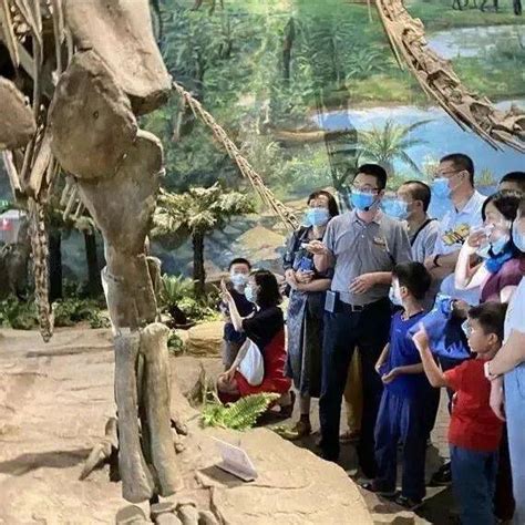 富顺人 过年去哪儿这份四川21市州最全景区优惠攻略请收好 自贡 都好 巴中