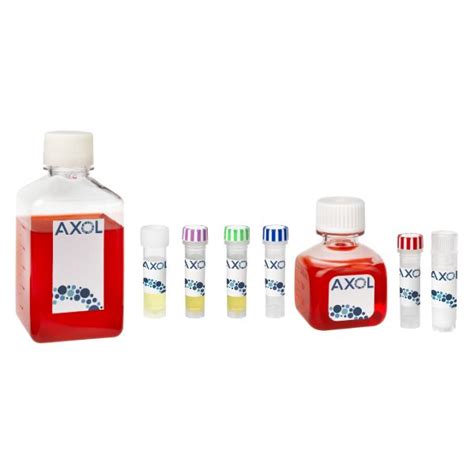 Cortical Excitatory Neuron Kit Ax5118 Axol Bioscience