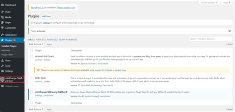 What Are The Steps To Activate The Plugin And Where Should I Enter The