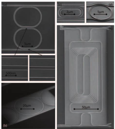 Examples Of Silicon Ring Resonators A Double Ring