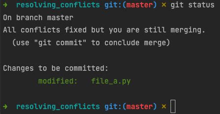 Quality Assurance Handbook Tools Version Control Systems Using Git Resolving Conflicts