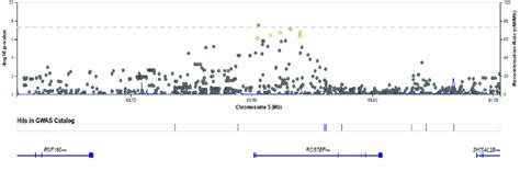 Locuszoom Plot For Region Surrounding Rs1848553 The Locuszoom Plot