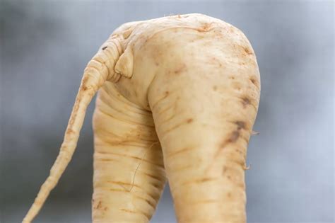 Rude Vegetables From The Cornish Food Box Company In Truro Mirror Online