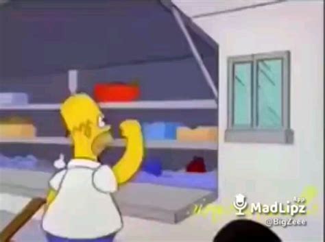 Homer Simpson Doh Meme