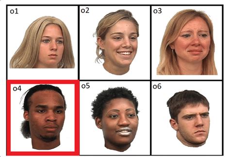 An Example Of Referential Context Built From Face Place Images [49