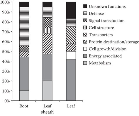 3 Functional Categorization Of The Differentially Expressed Proteins In Download Scientific