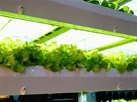 Why Your Ph Meter Is Giving You Incorrect Readings And How To Troubleshoot Them