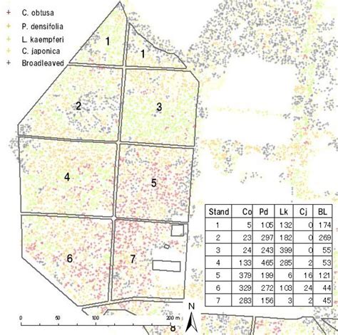 Improving The Precision Of Tree Counting By Combining Tree Detection With Crown Delineation And