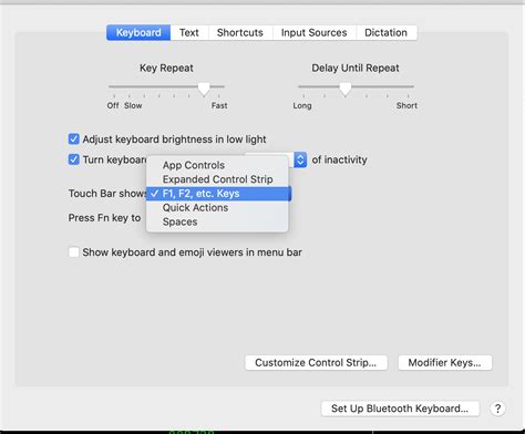 Unable To See Use All F1 F2 Etc Keys As Standard Function Keys At All In System Preferences