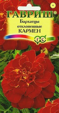 Купить бархатцы отклоненные (тагетес) кармен - цена 34 руб. - Доставка ...